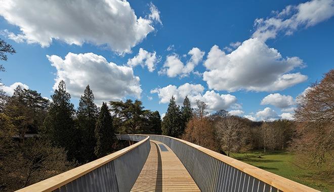 Treetop walkway: A walk on the wild side | Features | Building