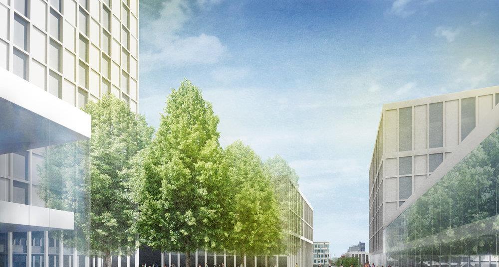 FCB Studios wins Sheffield Uni masterplan | News | Building