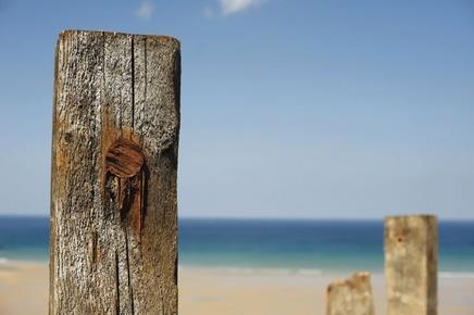 We’re all going on a (green) summer holiday | Features | Building