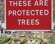 Ignoring the signs | News | Building