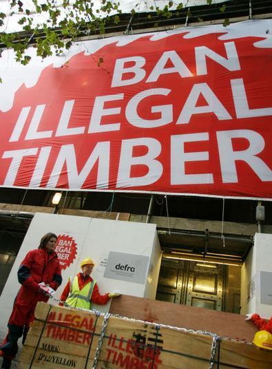 Greenpeace blockades DEFRA in timber protest | News | Building