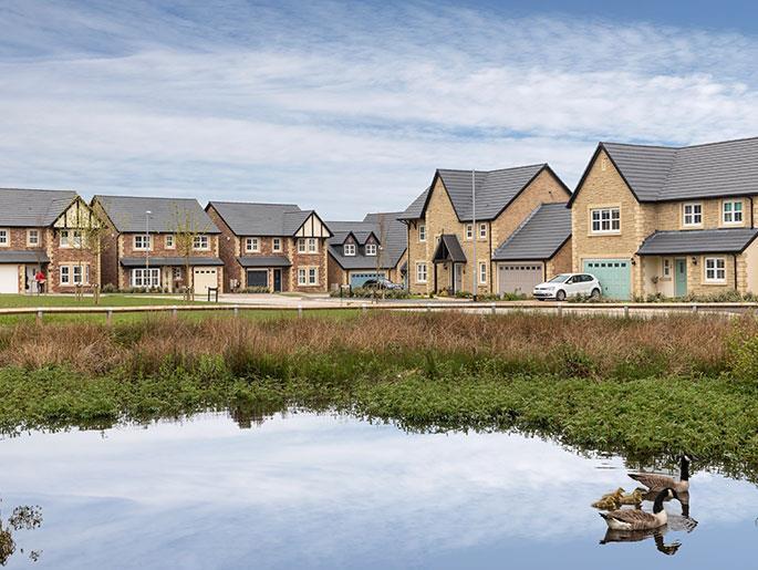 Story Homes sees turnover and profit slip | News | Building