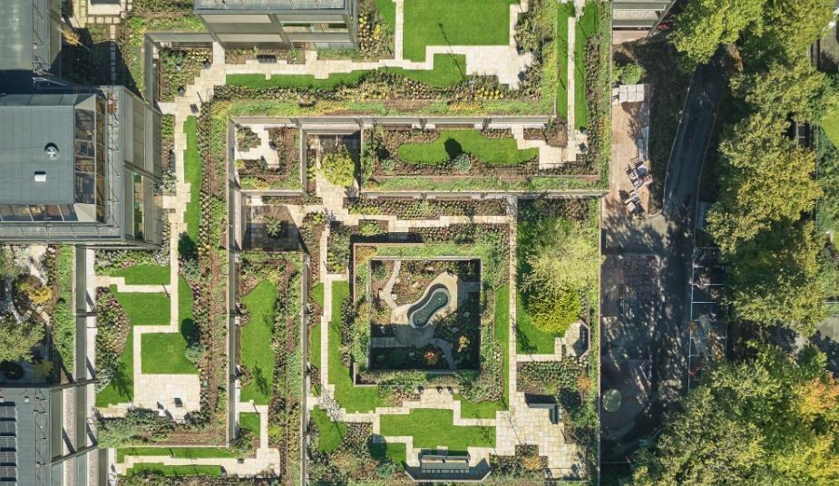 In pictures: Revamp of Foggo’s ‘Hanging Gardens of Basingstoke ...