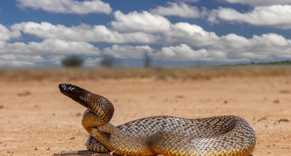 ‘I’m here as a change agent’ – Bam’s construction boss on Co-op Live ...