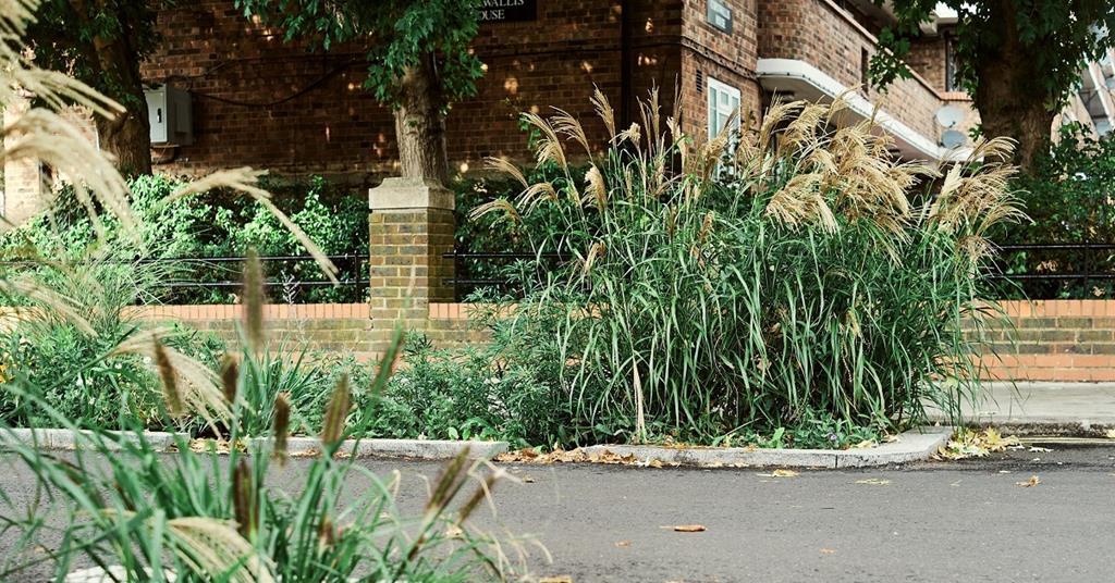 How do we protect our homes and other buildings from surface water ...