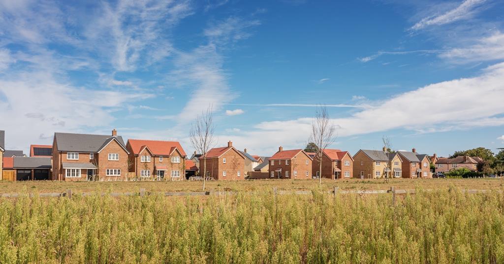 My route into construction … Rebecca Freeman, senior quantity surveyor ...