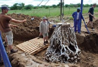 What termites can teach us about natural ventilation in small buildings ...