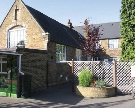 Ashley Primary School: Any colour as long as it’s green | Features ...