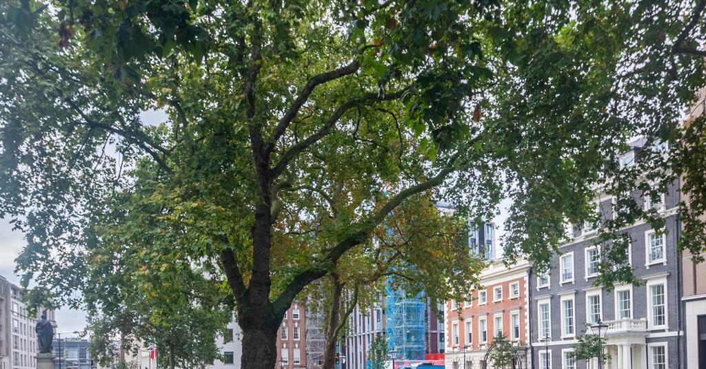 Hanover Square: Exemplary collaboration and placemaking | Features ...