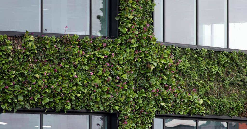 Muse’s Eden, by Make and sustainability consultant Cundall, is a new ...