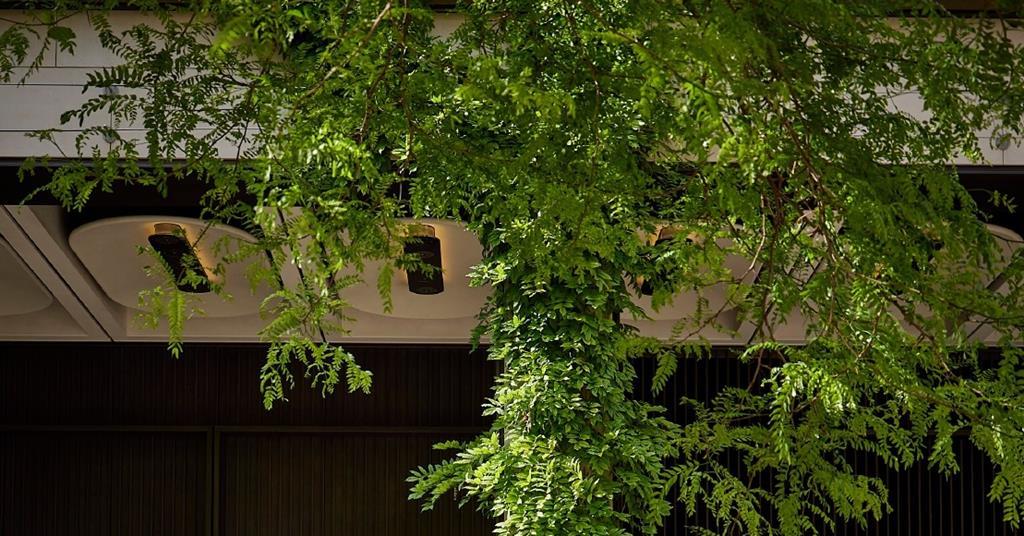 Hanover Square: Exemplary collaboration and placemaking | Features ...
