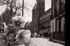 UK's largest PFI housing upgrade completed | News | Building