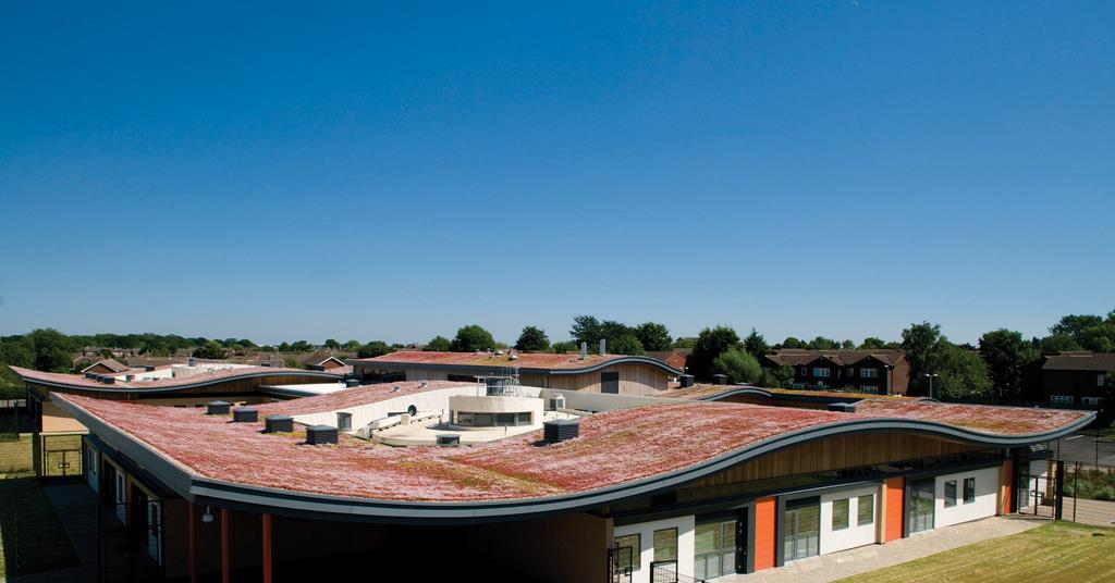 Curvy roof decking | News | Building