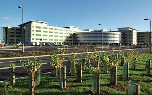 Sustainability Award | Features | Building