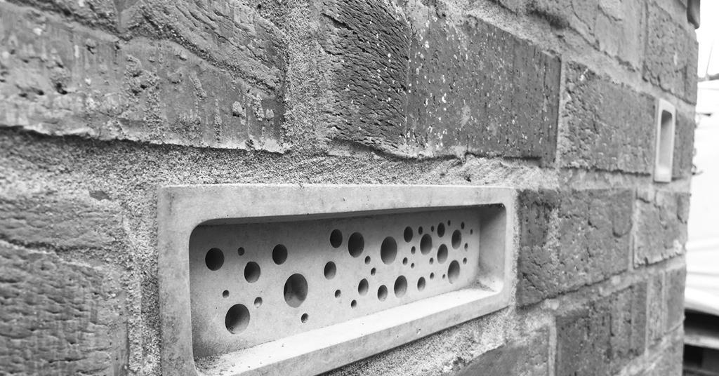 New schemes in Brighton will need ‘swift bricks’ for nesting birds to ...