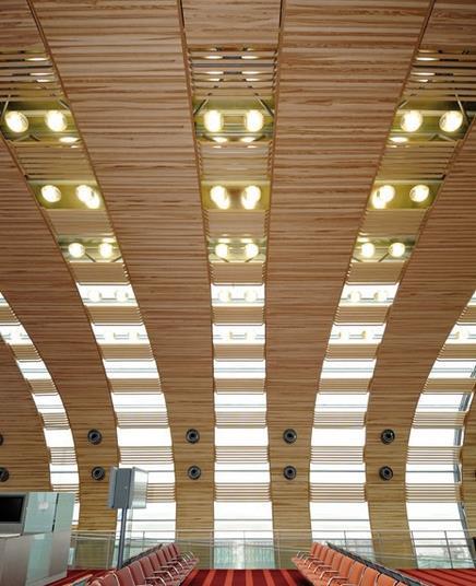 The alternatives: Timber ceilings | Features | Building