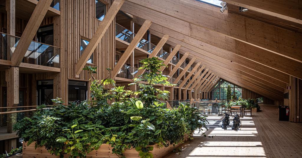 Age-inclusive design principles: Pioneering a new standard for later ...