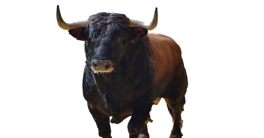 From the archive: 2008 - Interserve boss bullish | Features | Building