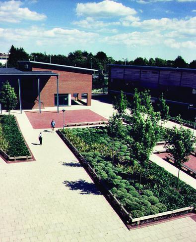 Best Landscape Project | Features | Building