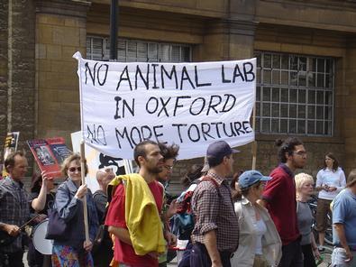 Animal lab protest will continue say demonstrators | News | Building