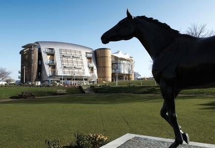 A different beast | Features | Building