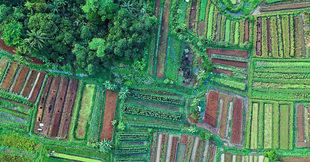 BE@COP26: shining a spotlight on low-carbon timber construction ...