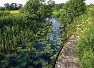 Client profile: British Waterways | Features | Building