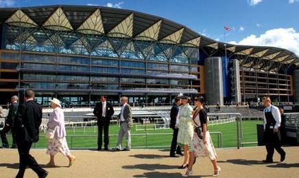 Stadium terracing: Good to firm | Features | Building