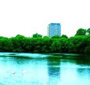 Too posh for dosh | Archive Titles | Building