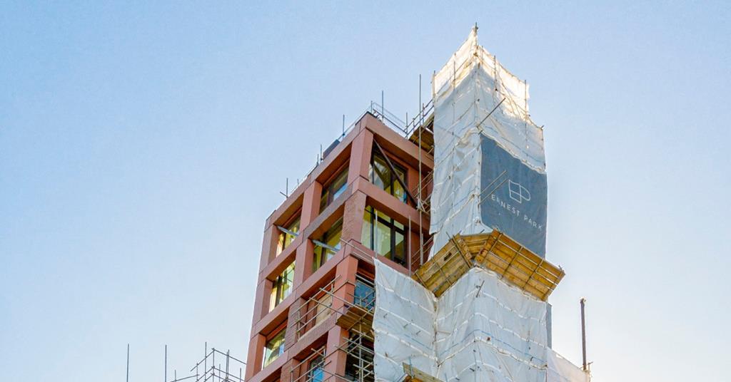 Could 2026 be the start of a new stone age? | Features | Building