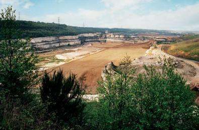 The state of the garden | Features | Building