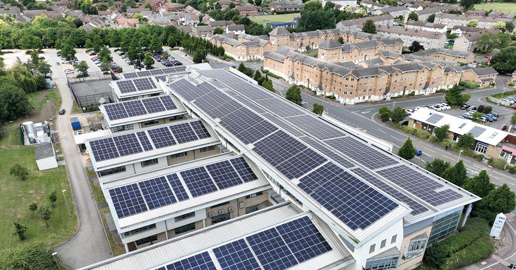 Sunny side up: why the future for solar power looks bright | Features ...