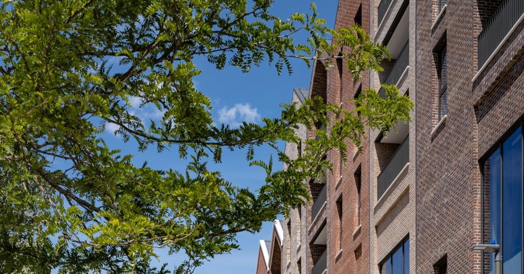 The making of Egham: how to pull a town centre up by its bootstraps ...