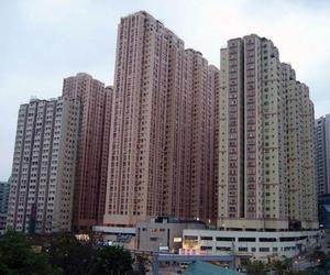 Seal of approval | Archive Titles | Building