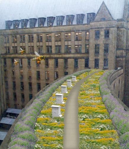 Study hopes to turn Manchester's roofs green | News | Building