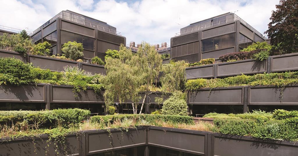 Image of the week: How does your building grow? | Features | Building