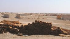 Rebuilding Iraq: Mott MacDonald's Marsh Arab school | Features | Building