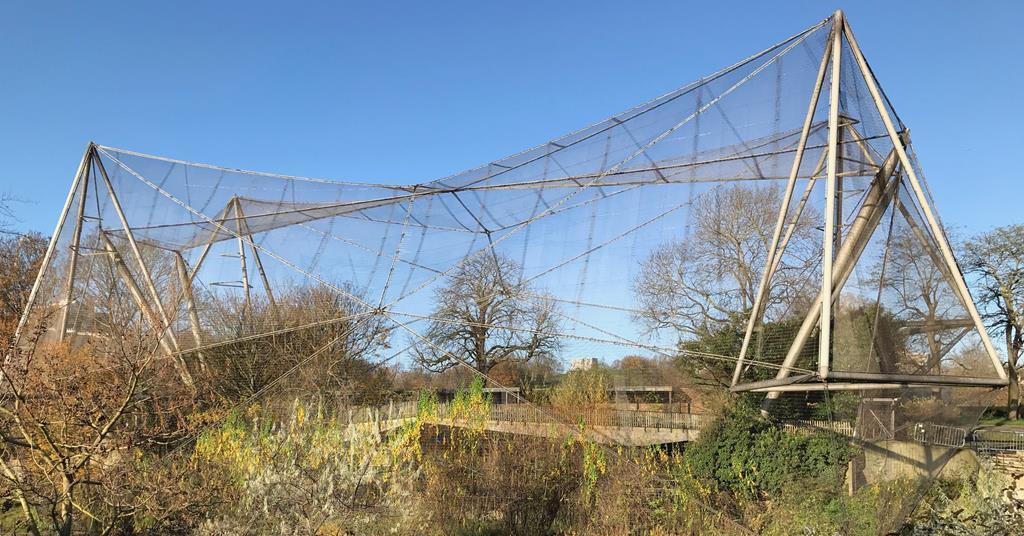 Monkeys to replace birds at London Zoo’s historic aviary under revised ...