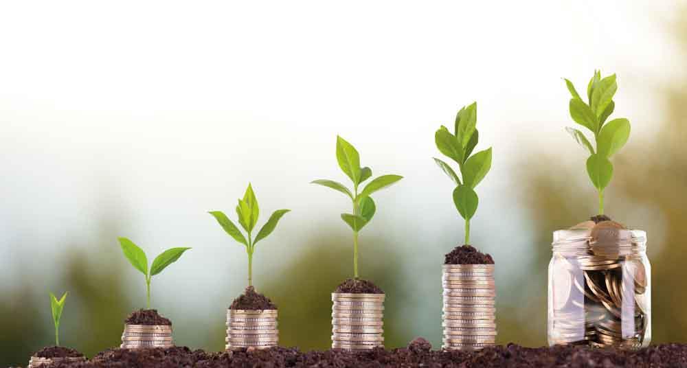 The colour of money: Green finance | Comment | Building