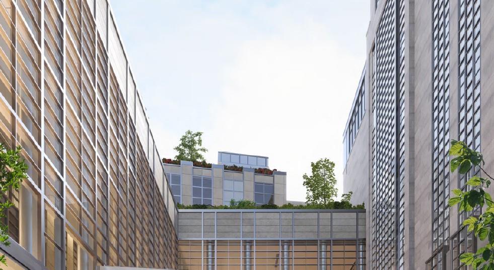 Mace inks biggest fit-out job in years | News | Building