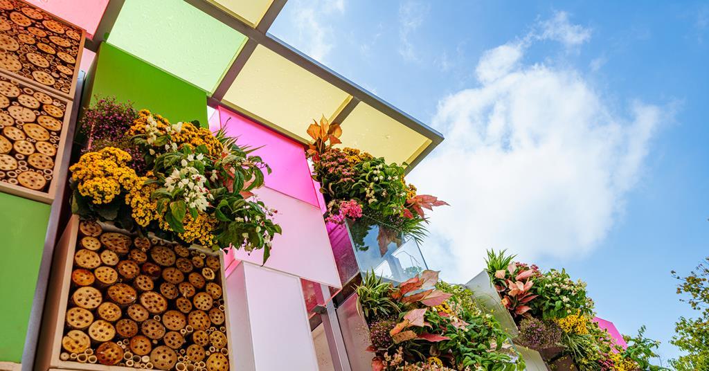 5 minutes with … Laurie Chetwood at Chetwoods | Features | Building