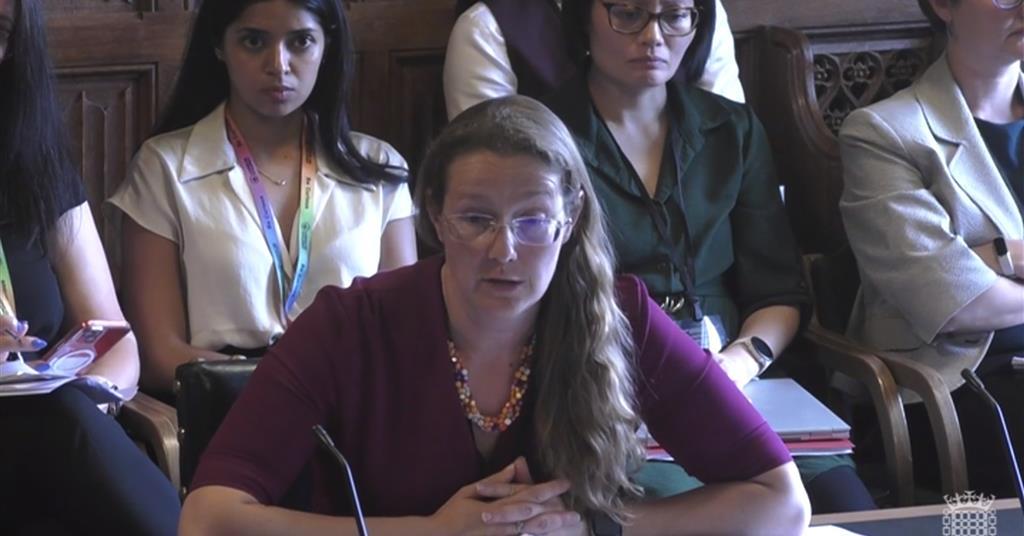 DfE’s ‘primarily visual’ RAAC surveys may have missed hidden flaws ...