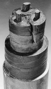 The history of electricity.... and the formation of the ECA | Archive ...