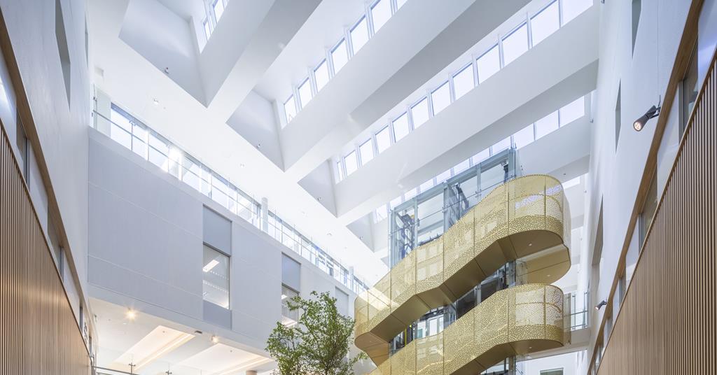 Mighty oaks: inside Royal Marsden’s new state-of-the-art research ...