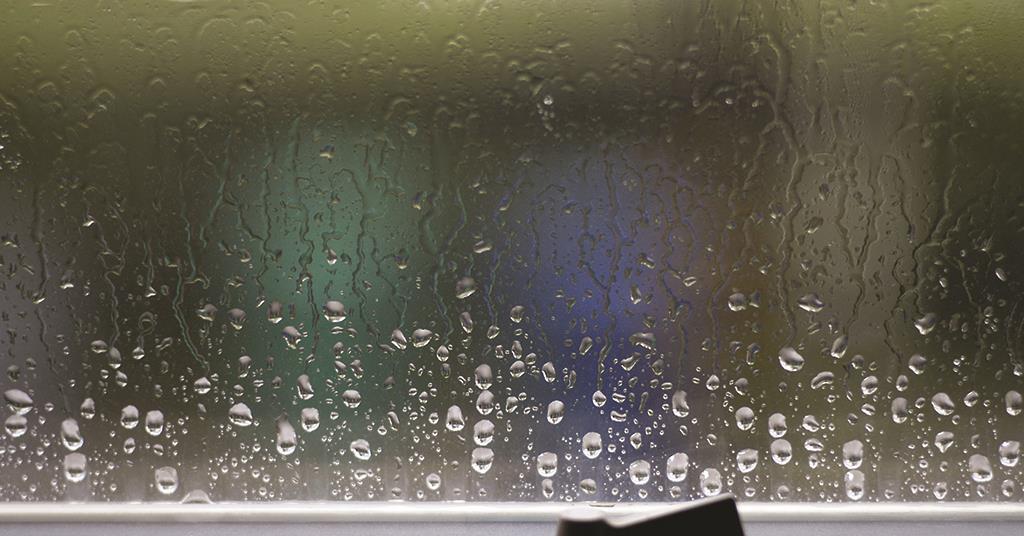 Choosing low-carbon windows | Features | Building