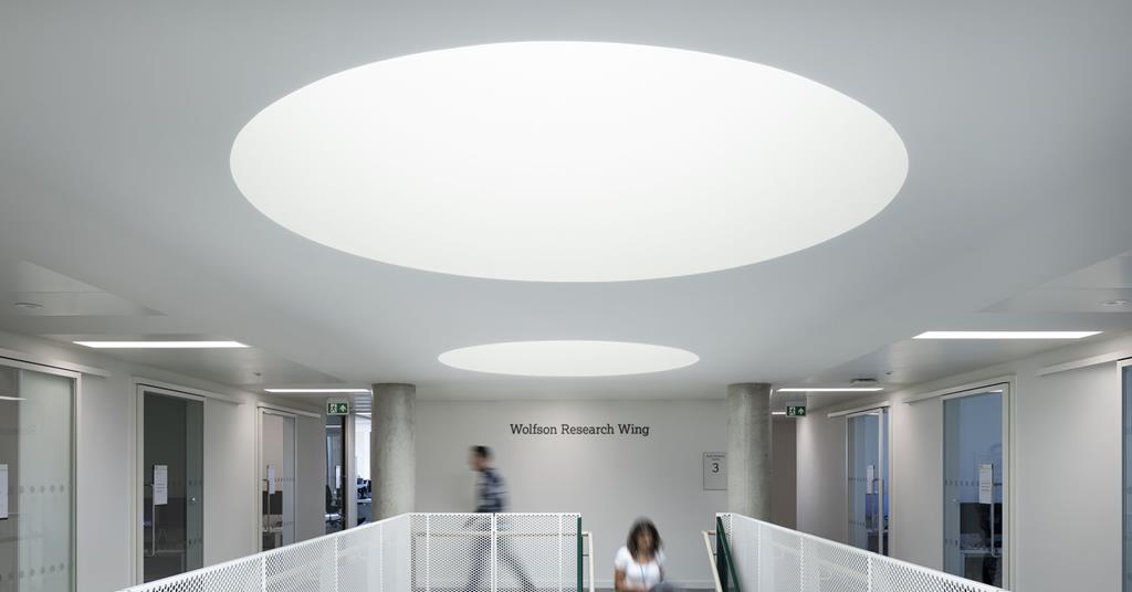 Mighty oaks: inside Royal Marsden’s new state-of-the-art research ...