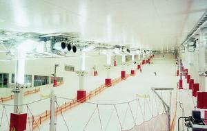 Xscape | Archive Titles | Building