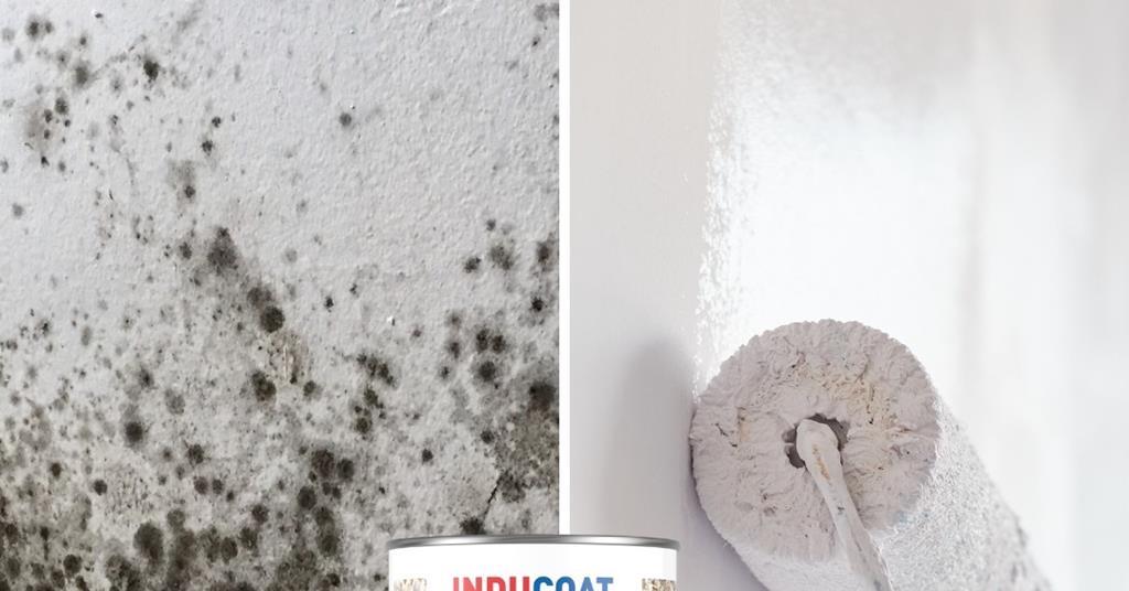 Longer lasting anti-mould paint from Inducoat | News | Building