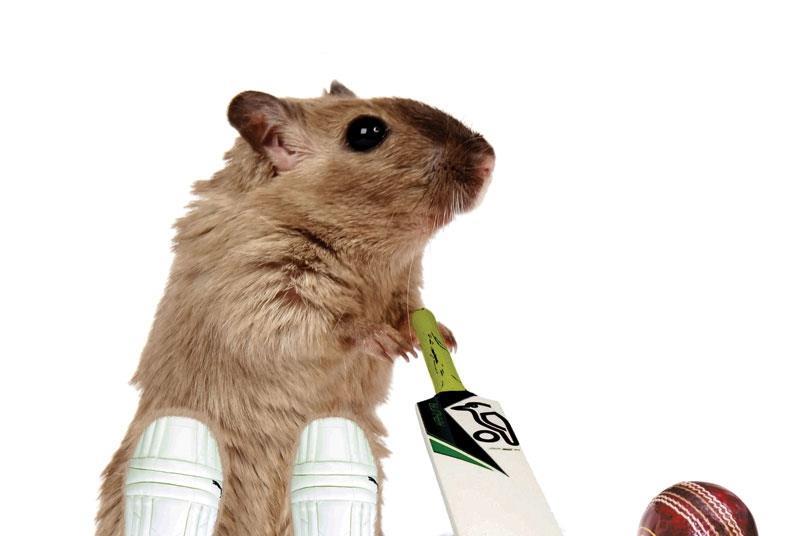 Quentin Shears: Evolve or die! | Comment | Building