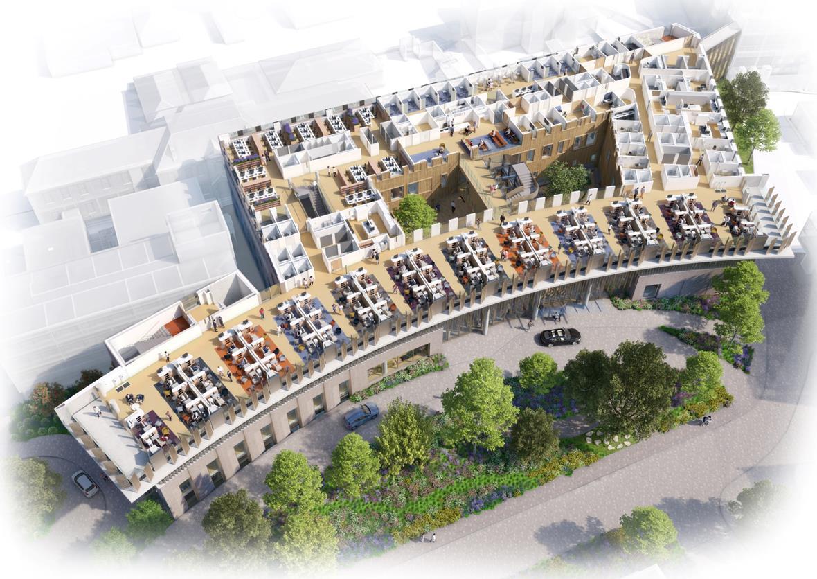 Mighty oaks: inside Royal Marsden’s new state-of-the-art research centre | Features | Building